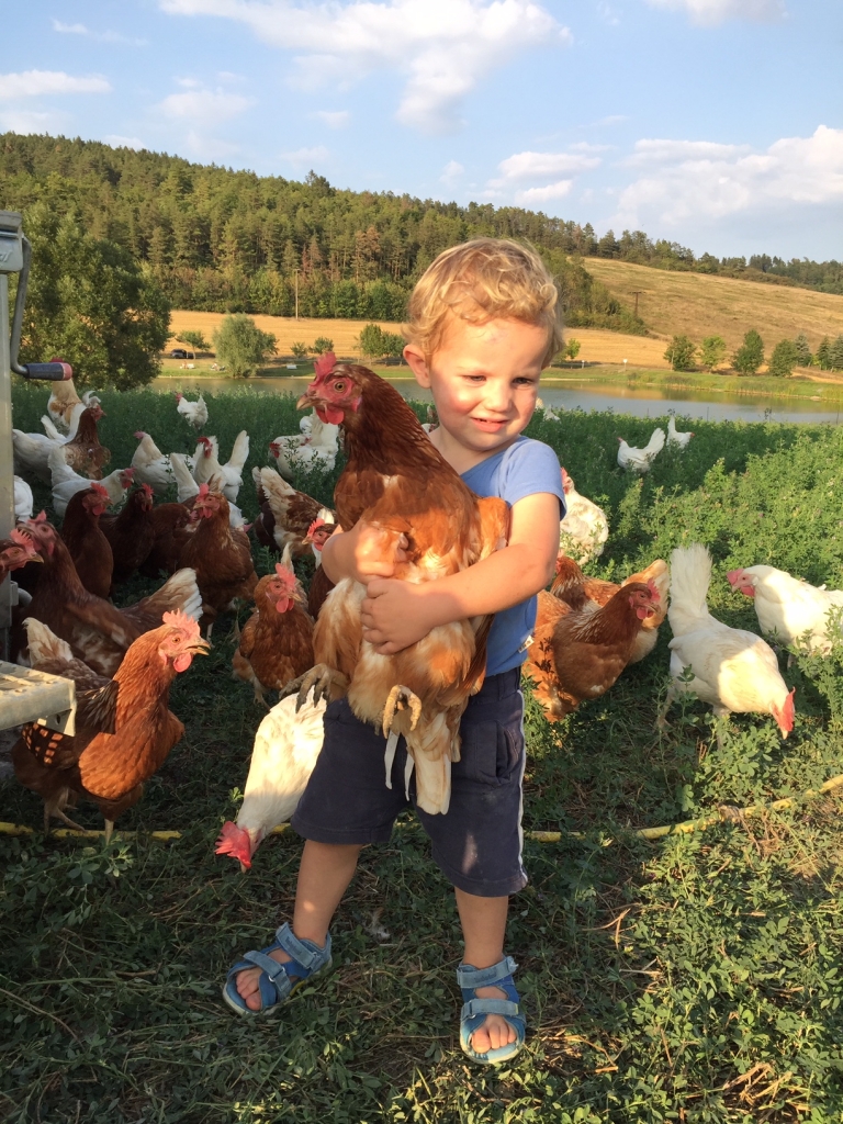 huehner_kinder | Landkulturhof Gluecksbringer - Erlebnishof mitten in ...